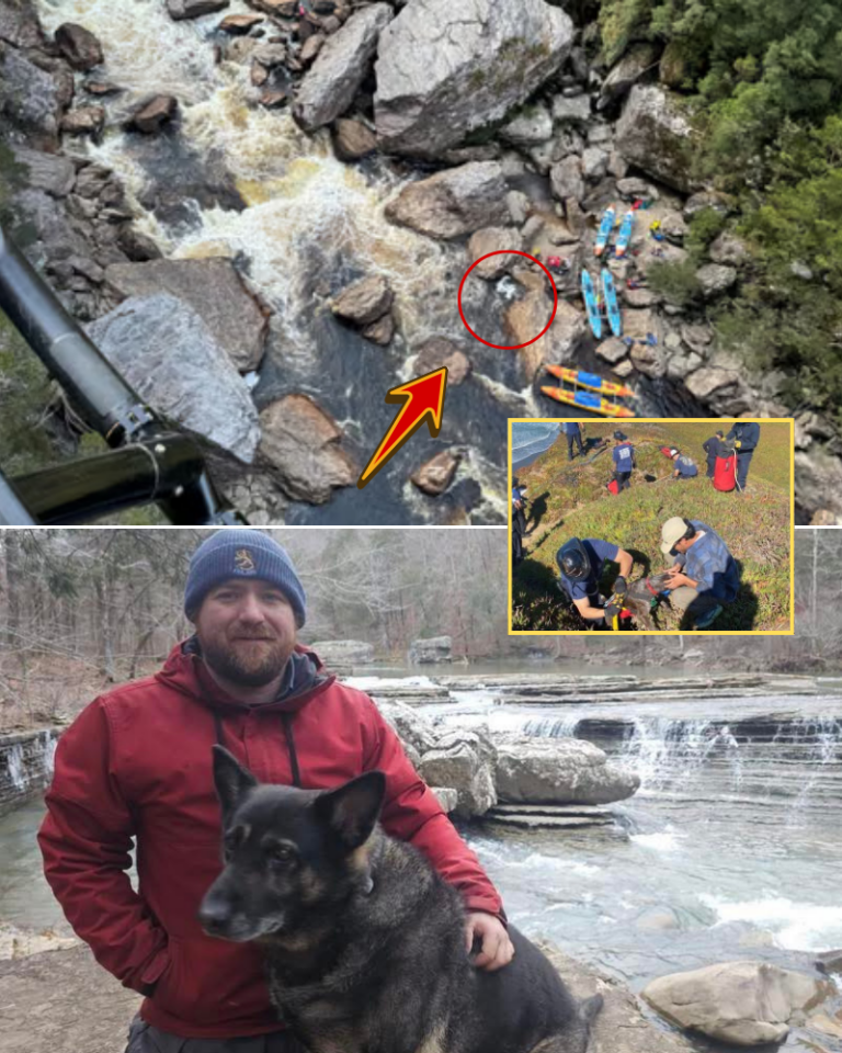 A Grim Discovery 48km From Chris Palmer’s Pickup: A Body Found Near a ...