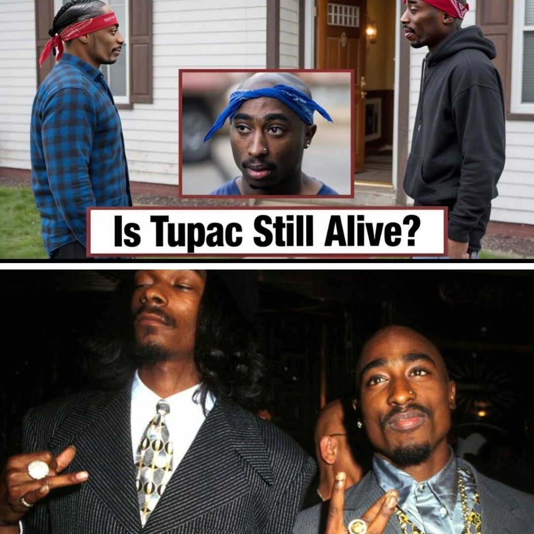 SHOCKING FOOTAGE REVEALS ALL! 🔥 For years, fans believed they ...
